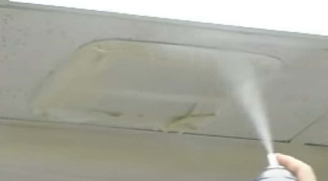 Roll over image to zoom in