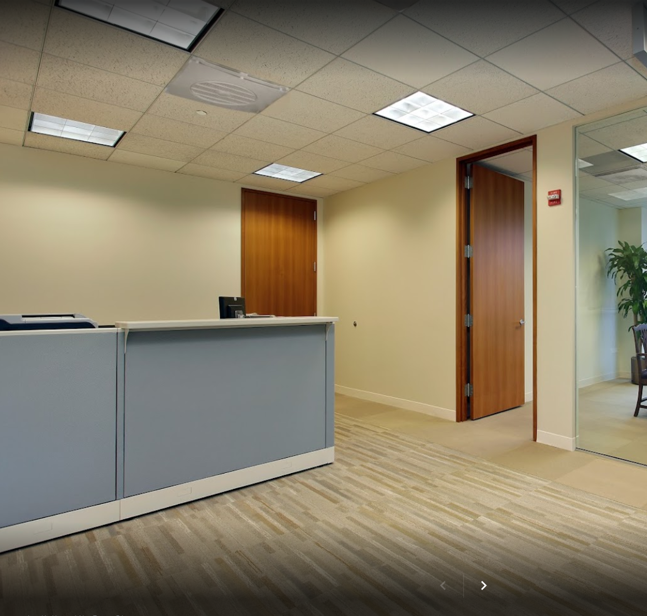 Roll over image to zoom in