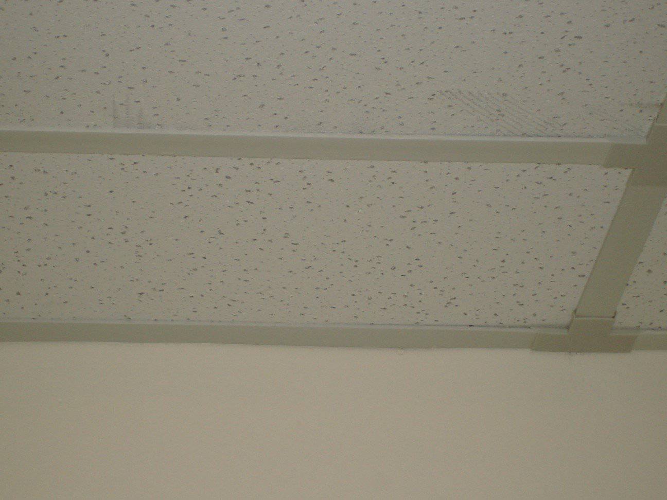 Ceiling Armor | 1800ceiling